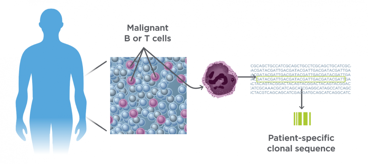 About clonoSEQ - clonoSEQ