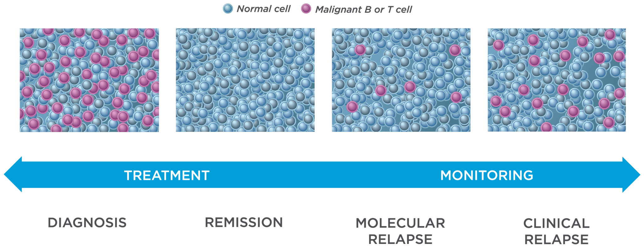 About clonoSEQ - clonoSEQ